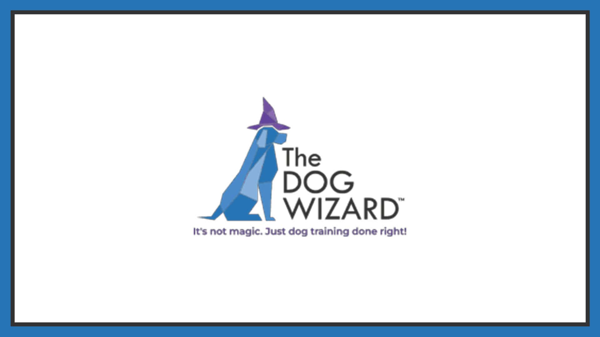 Obedience Made Easy with These 5 Dog Trainers in Nashville [2026 ]